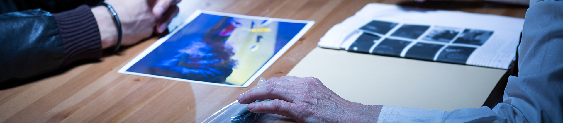 Investigator | CCC - Crime and Corruption Commission Queensland