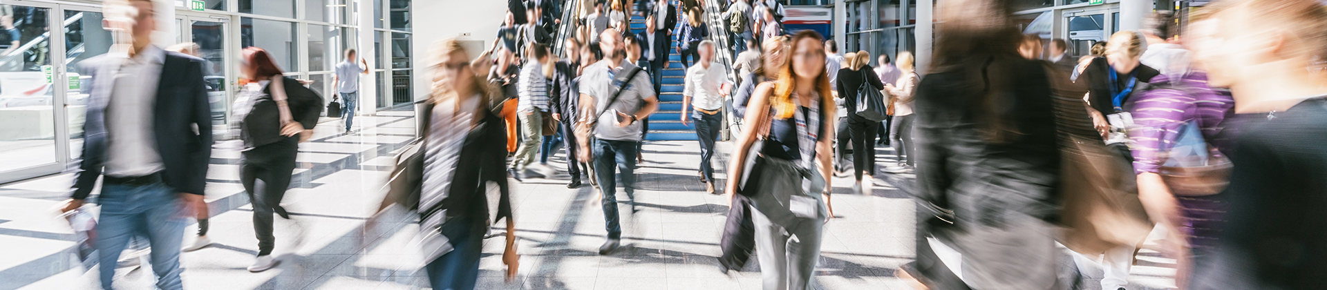 Search | CCC - Crime and Corruption Commission Queensland