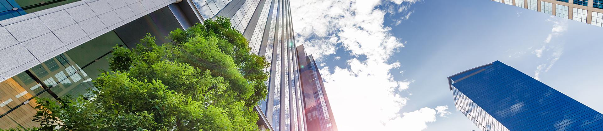 Corruption Prevention Advisories | CCC - Crime and Corruption ...